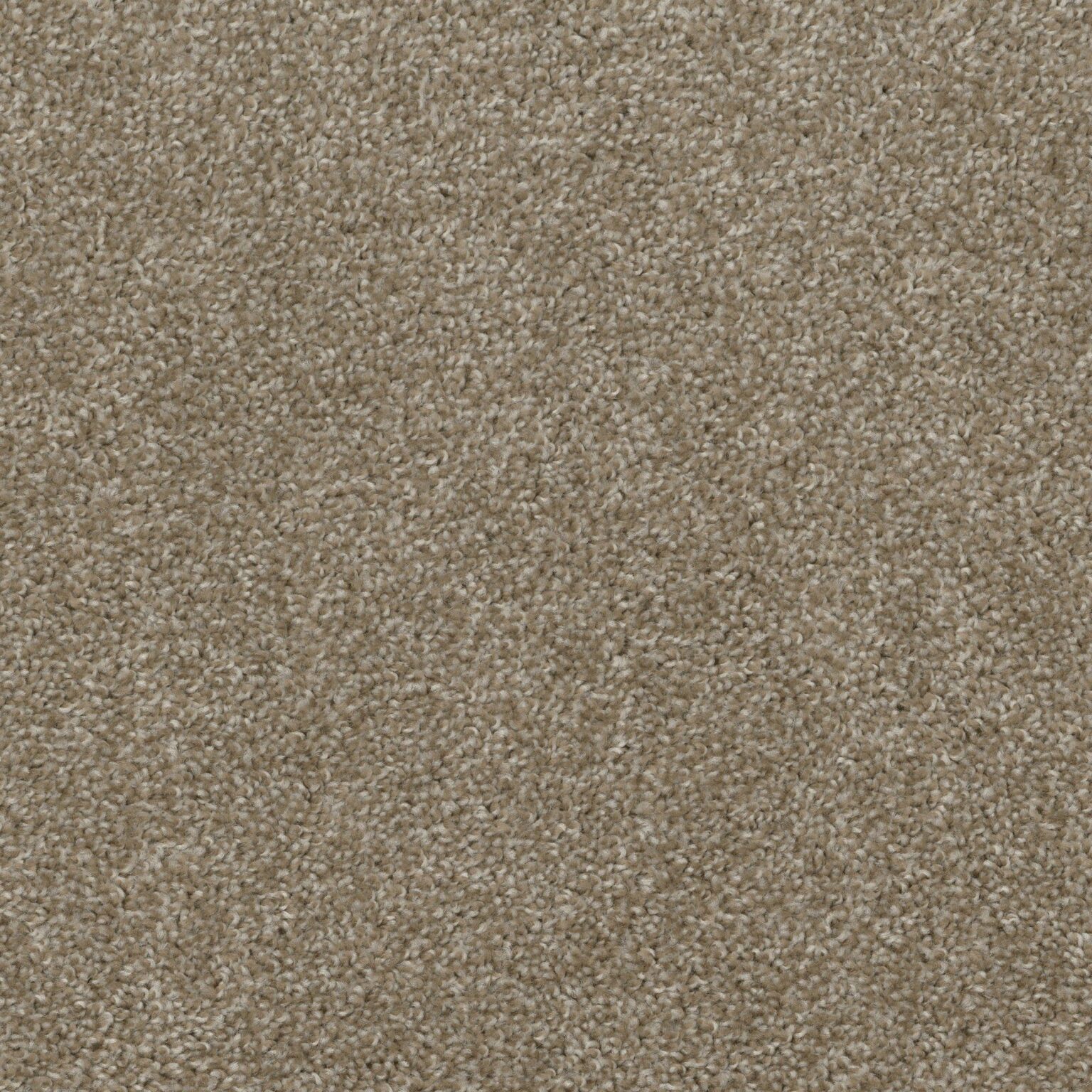Byron Bay by Prestige - Carpet Now