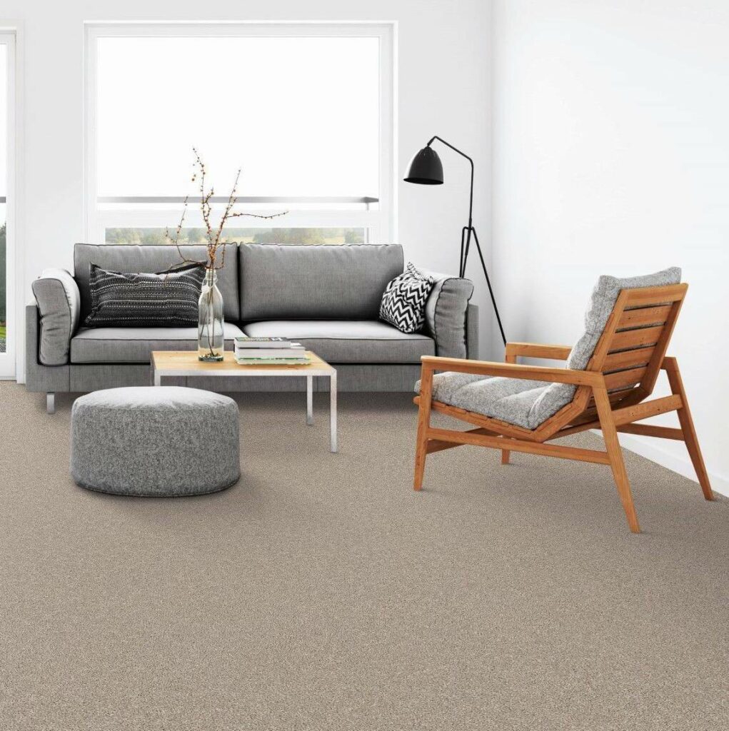 Level 1: Byron Bay - Carpet Now