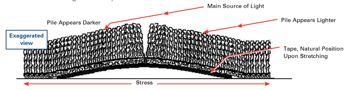 Carpet Seams Explained - Carpet Now